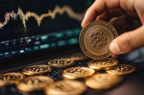 The Crypto Update: Blockchain, NFT, DeFi, Crypto News & Updation